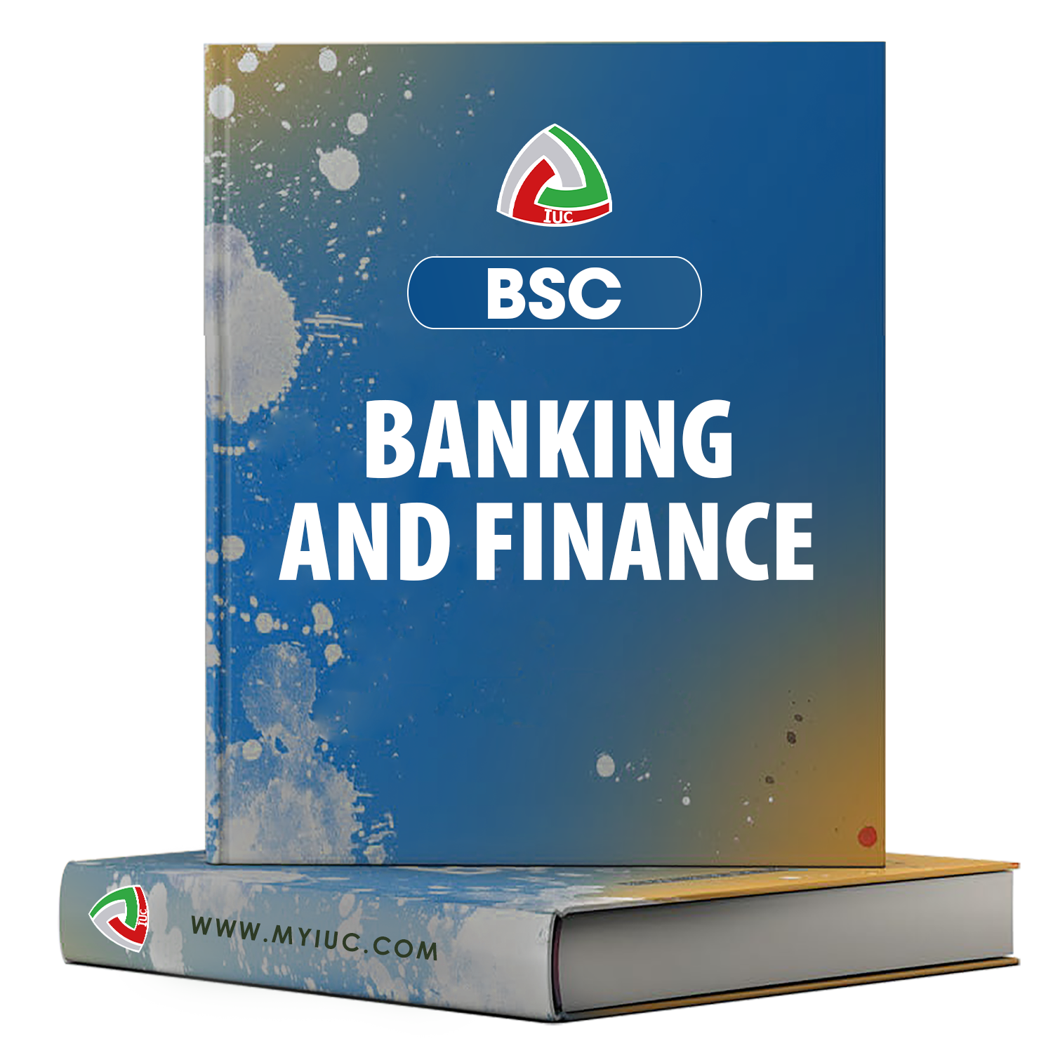 B.SC – BANKING AND FINANCE – ICIA