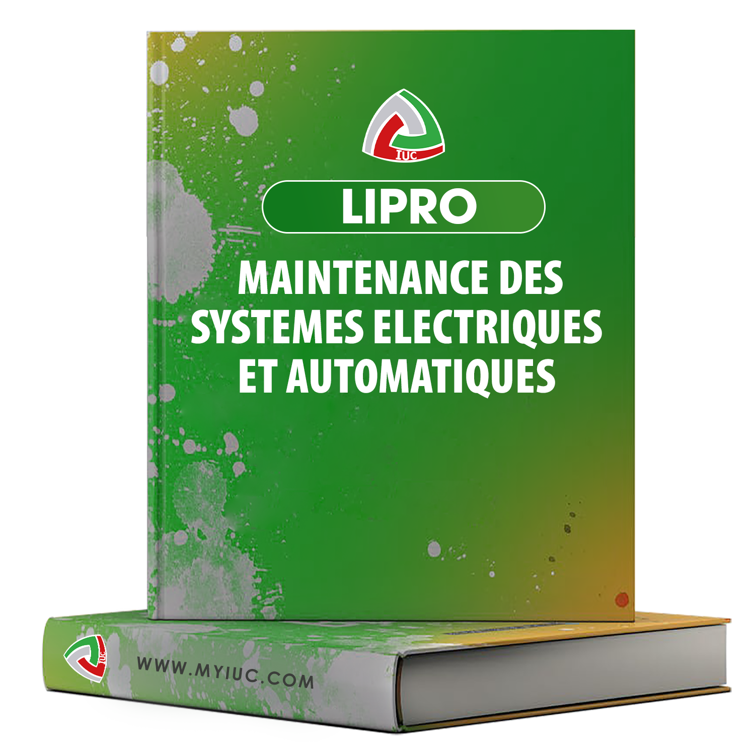 LIPRO – MAINTENANCE DES SYSTEMES ELECTRIQUES ET AUTOMATIQUES – ICIA