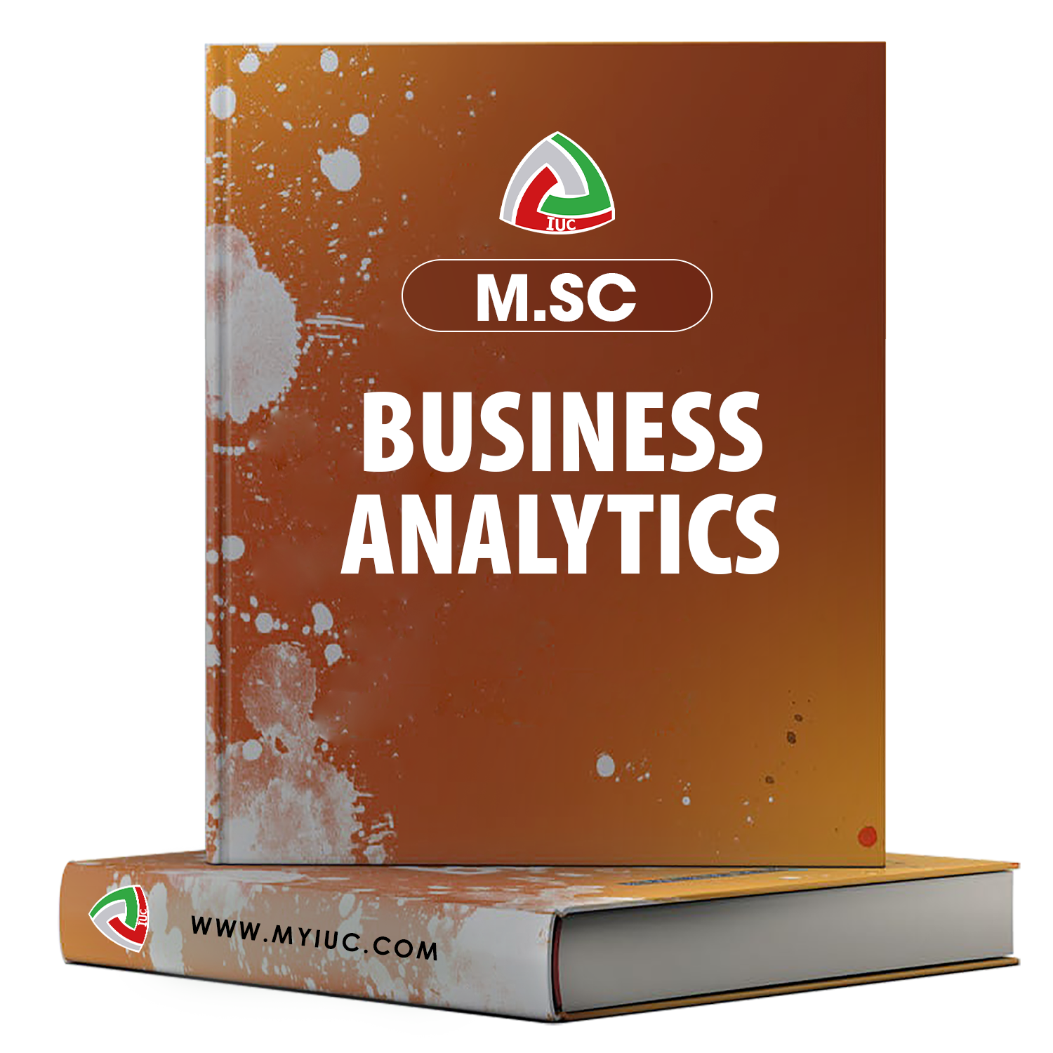 M.SC – BUSINESS ANALYTICS – ICIA