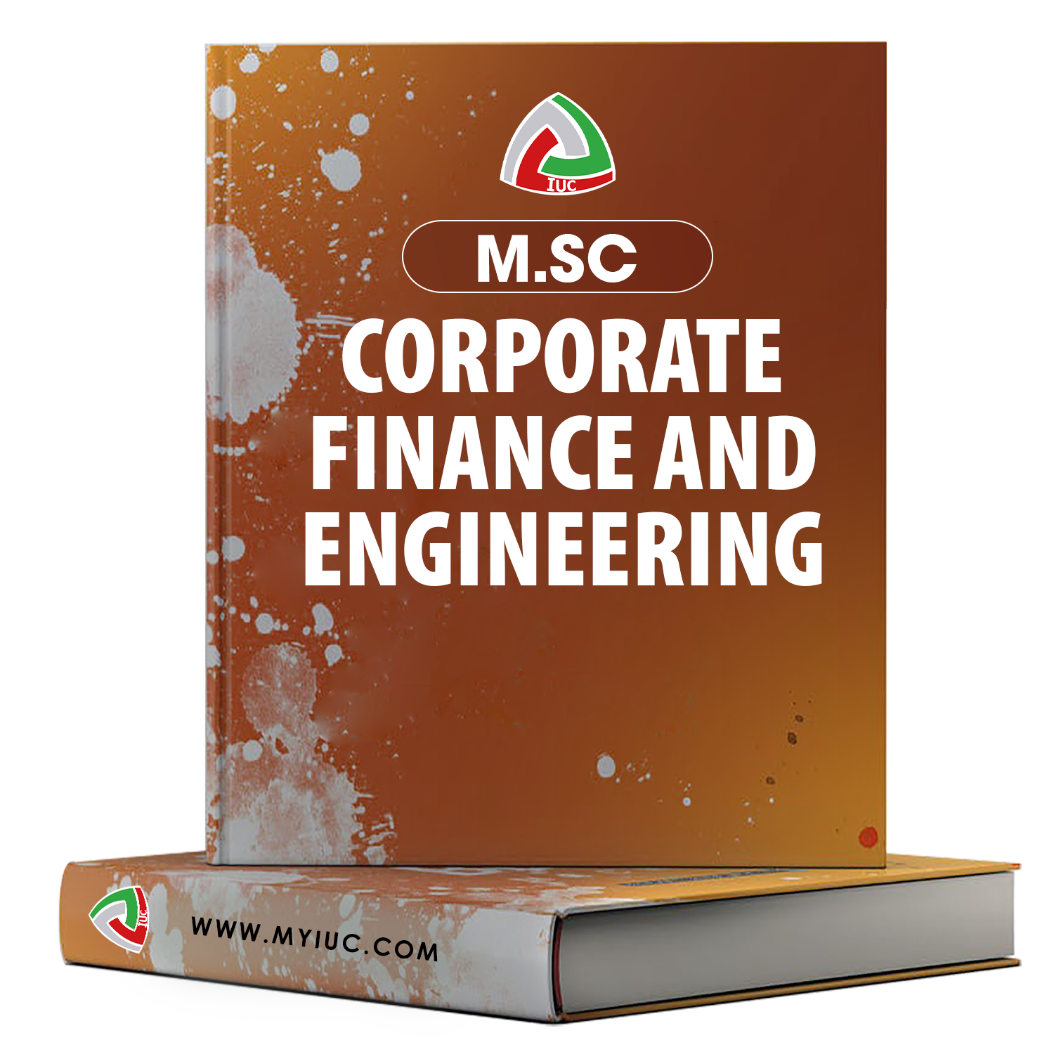 M.SC – CORPORATE FINANCE AND ENGINEERING – ICIA
