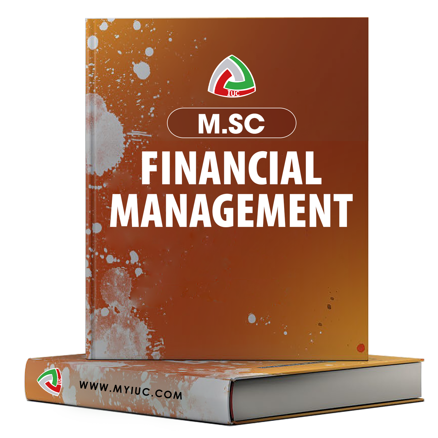 M.SC – FINANCIAL MANAGEMENT – ICIA