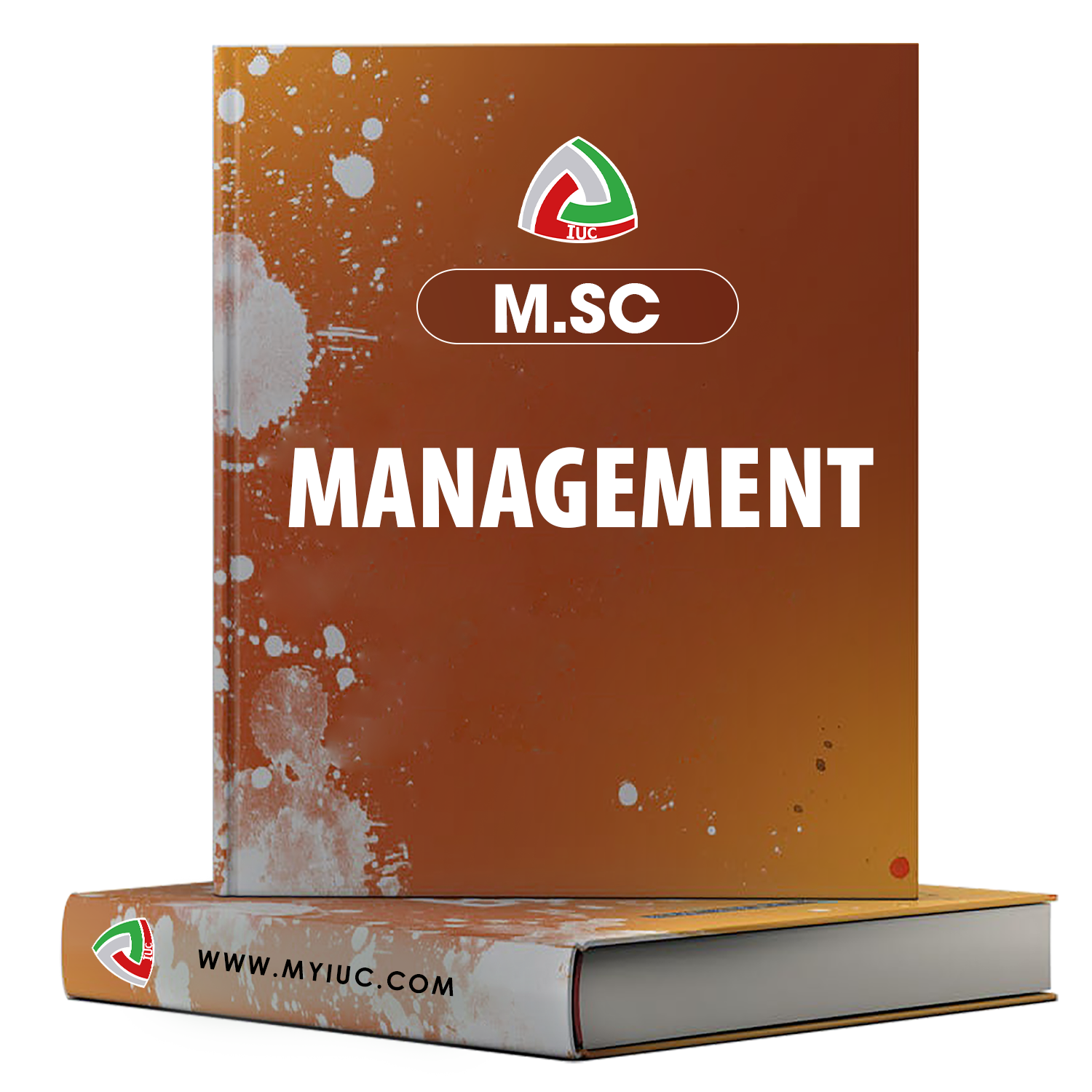 M.SC – MANAGEMENT – ICIA